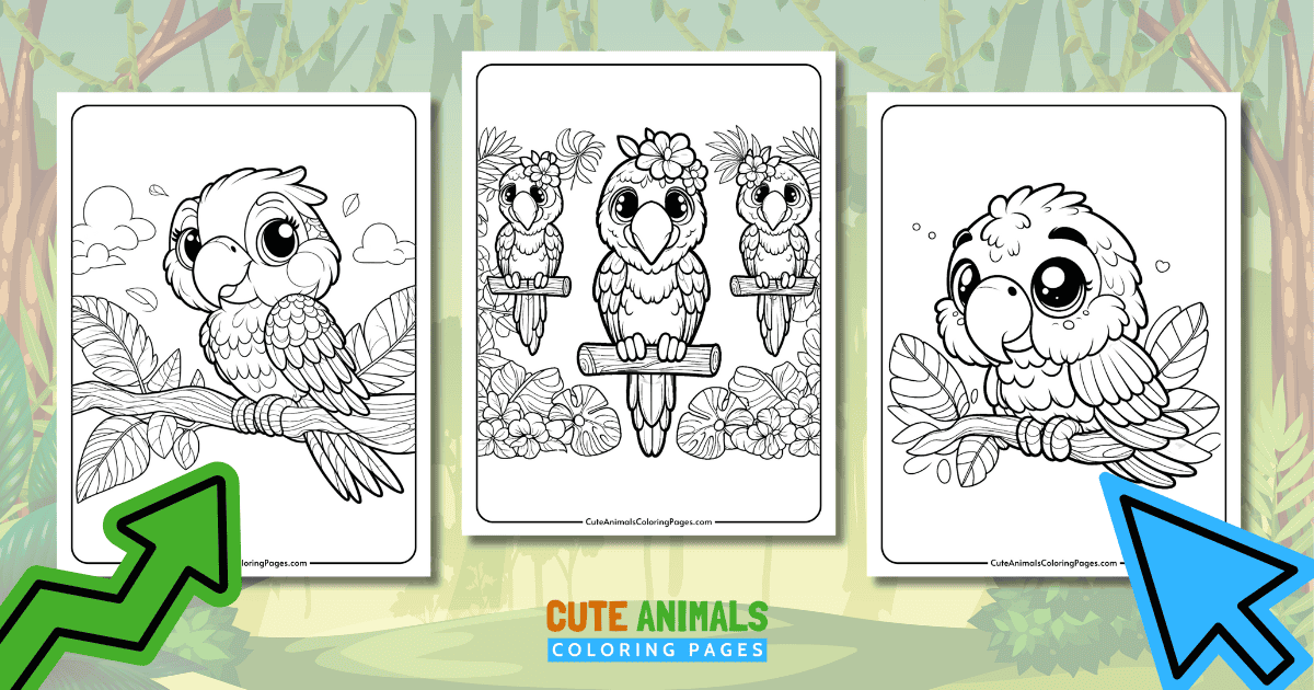 Macaw Coloring Pages (7 Free Printable Pages) - Cute Animals Coloring Pages
