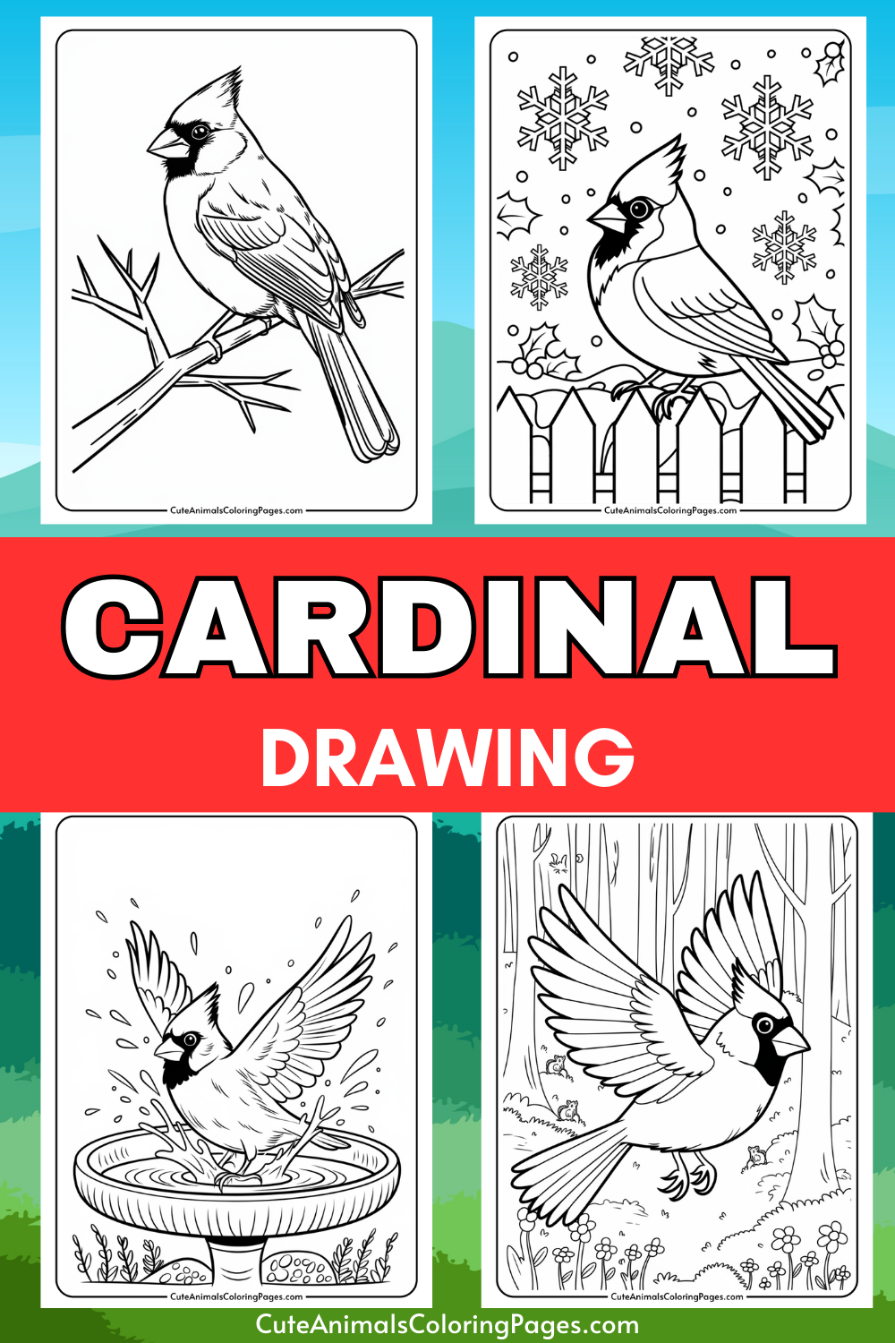 Cardinal Coloring Pages (10 Free Printable Pages) - Cute Animals ...